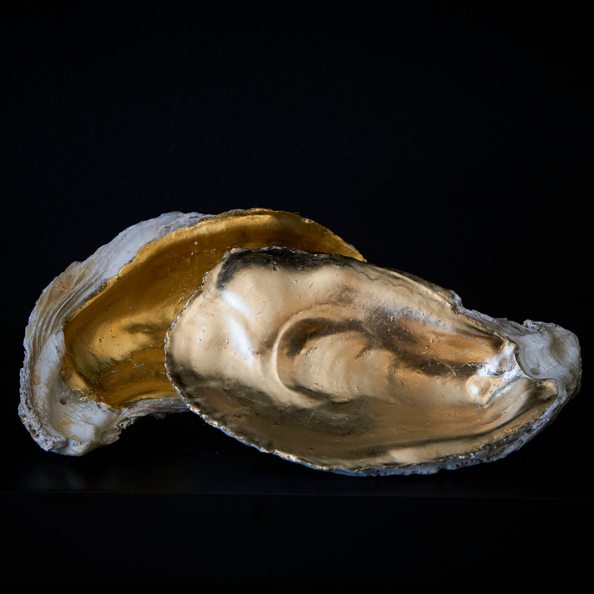 Gilded Oyster Shell – Into the Feral